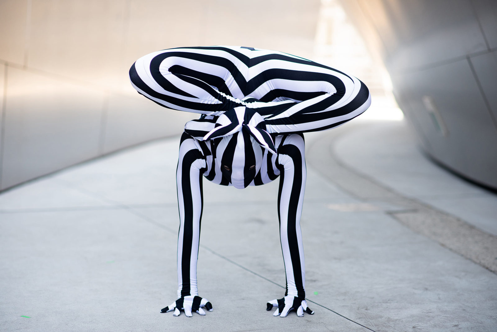 Kikimora Studio - Event Entertainment